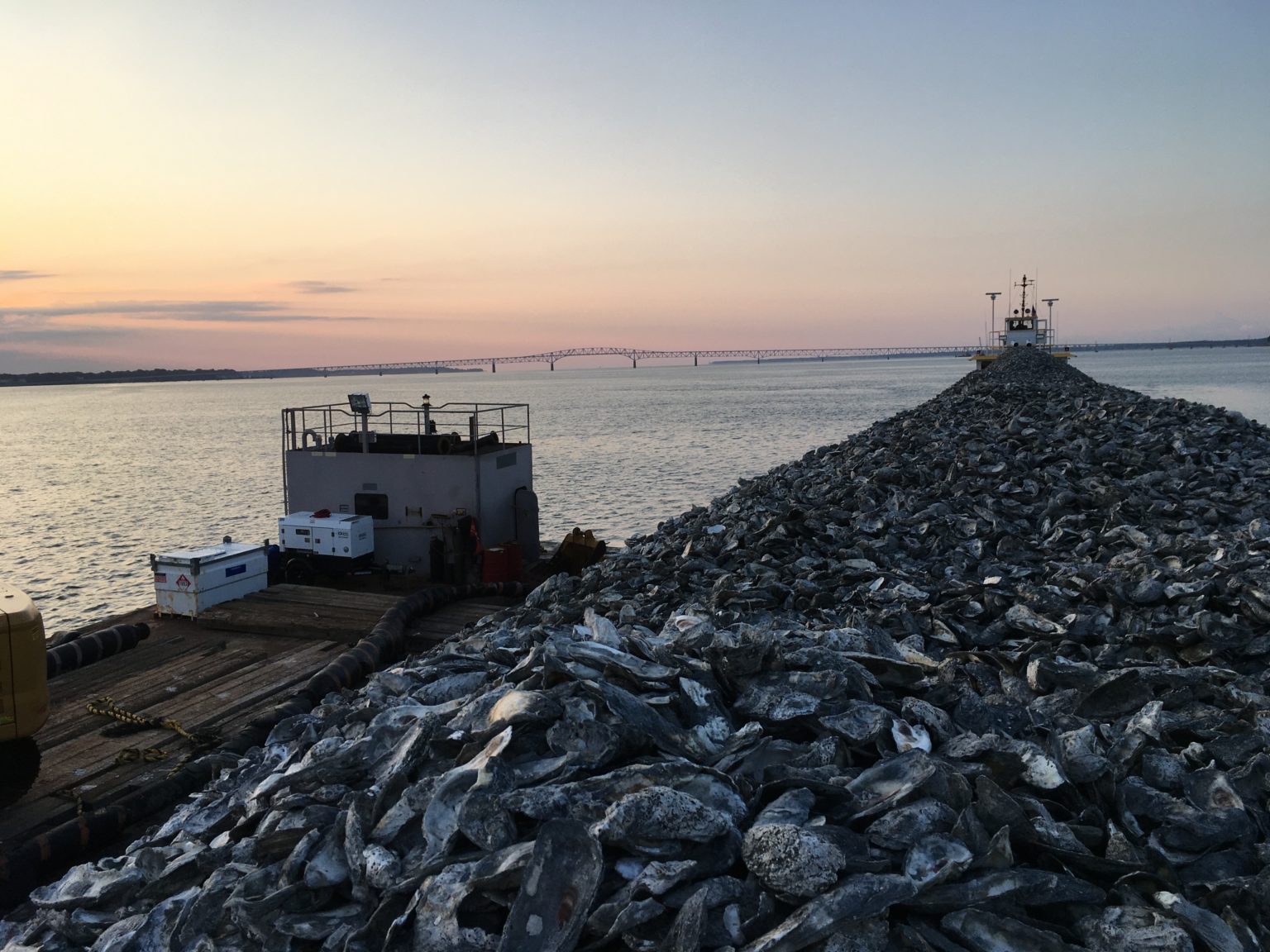 Va. Oyster Restoration Milestone: 150 Acres of Habitat Complete ...