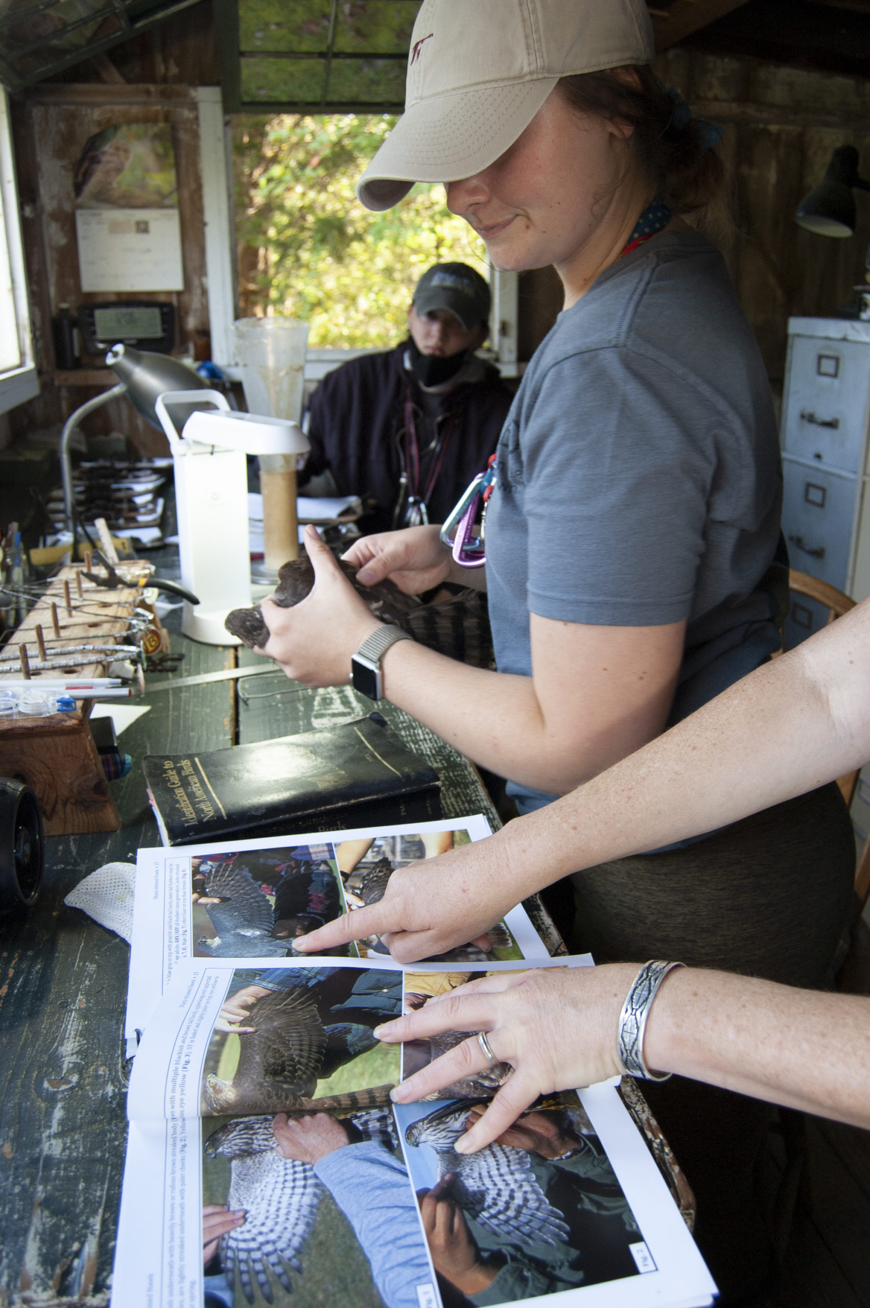 A Bird in the Hand | Chesapeake Bay Magazine