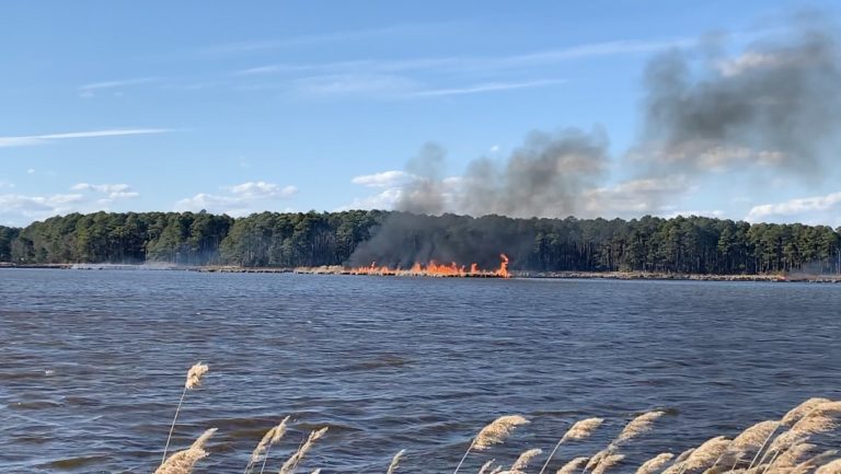 VIDEO: Prescribed Burns Consume 1,700 Acres of Marsh (But it's a Good ...