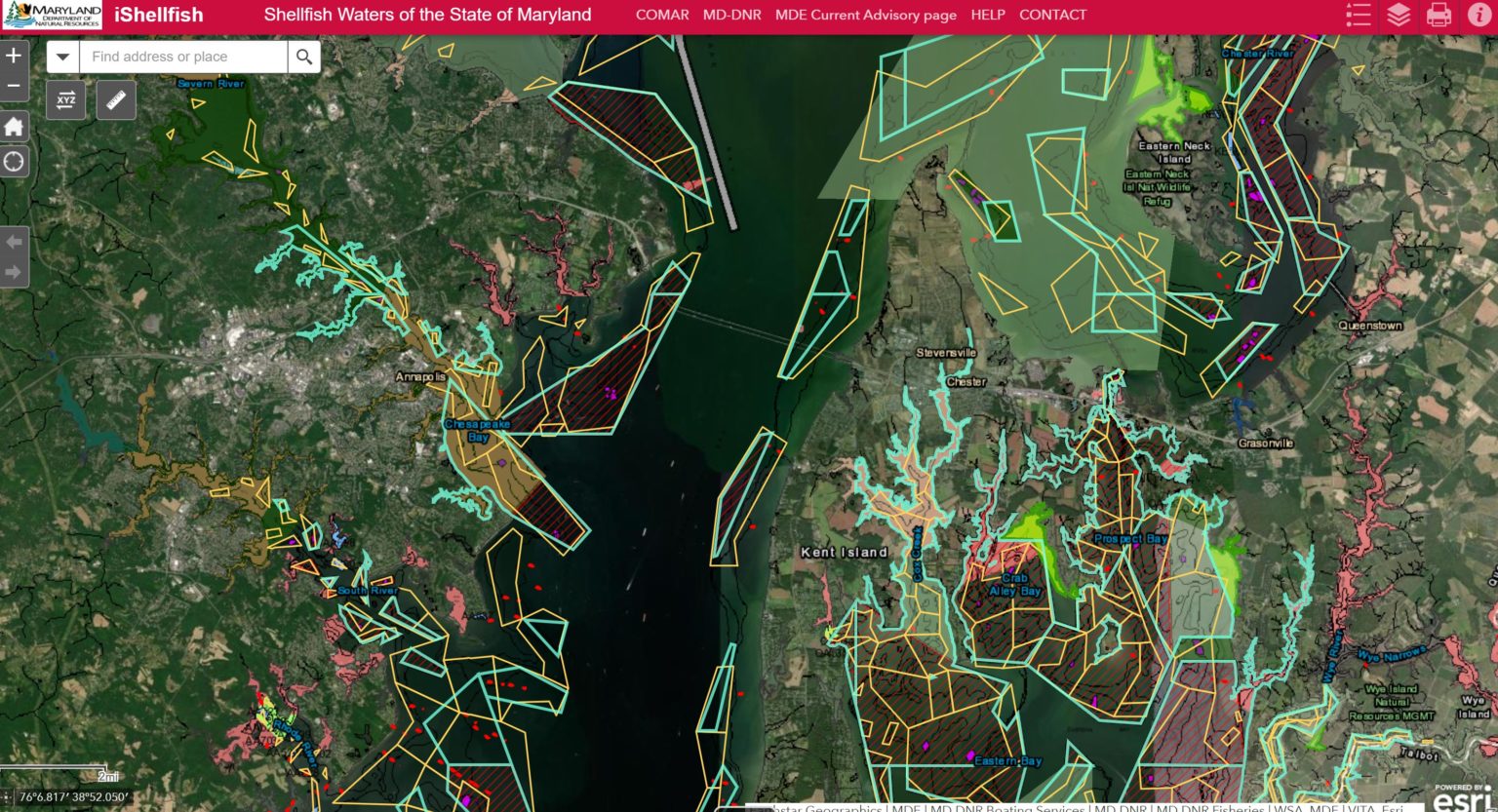 DNR Launches Shellfish App for Md. Watermen | Chesapeake Bay Magazine