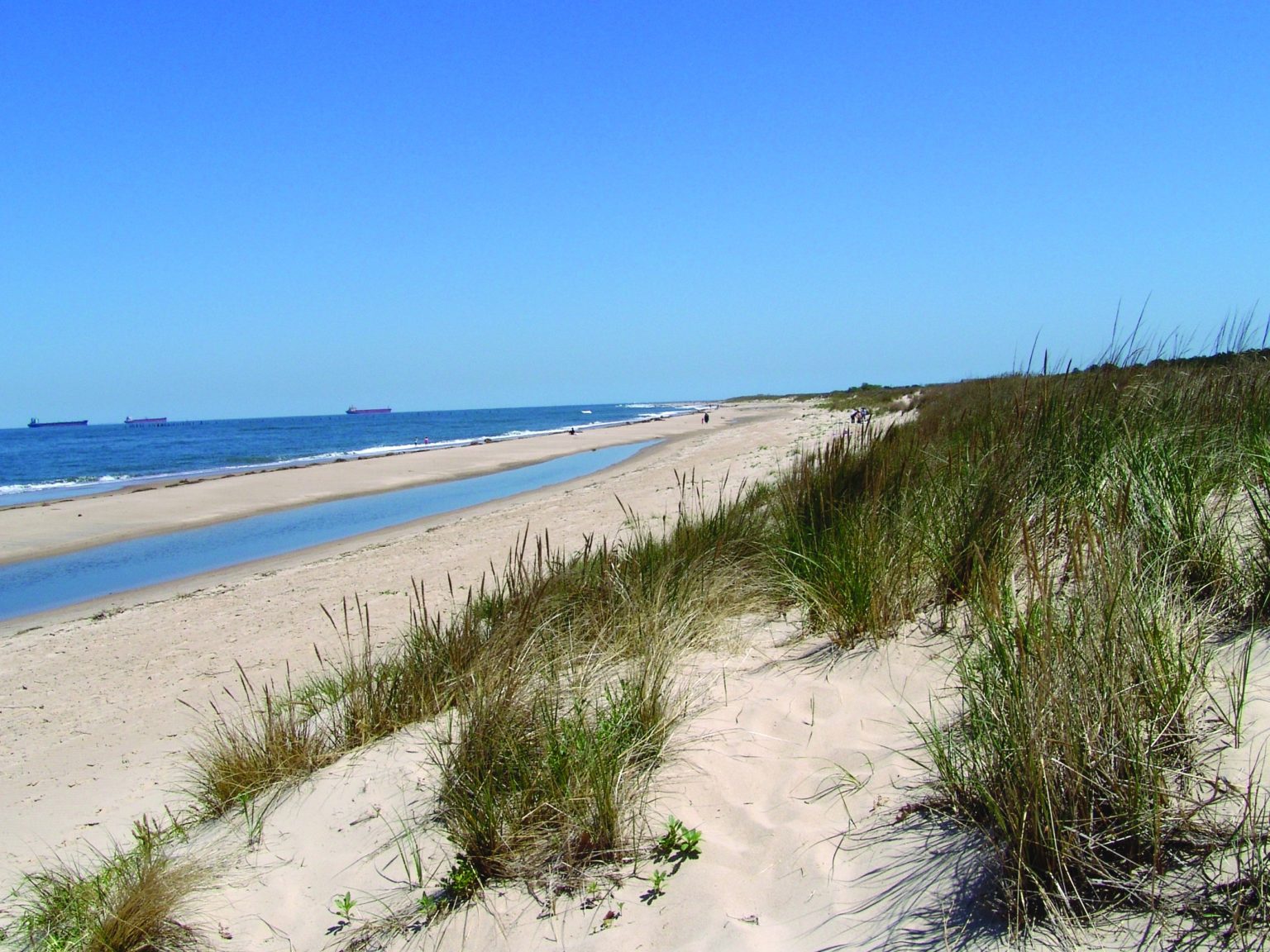 A Bounty of Beaches | Chesapeake Bay Magazine