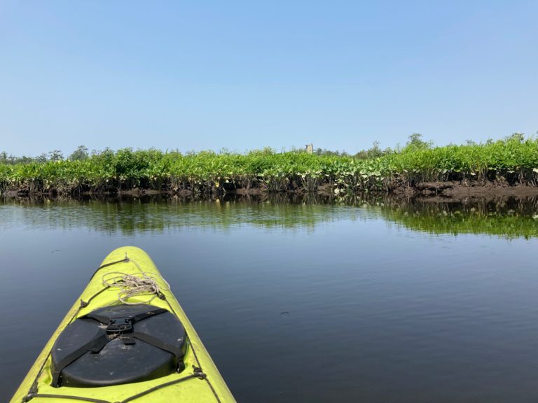 Kent Narrows, Maryland | Chesapeake Bay Magazine