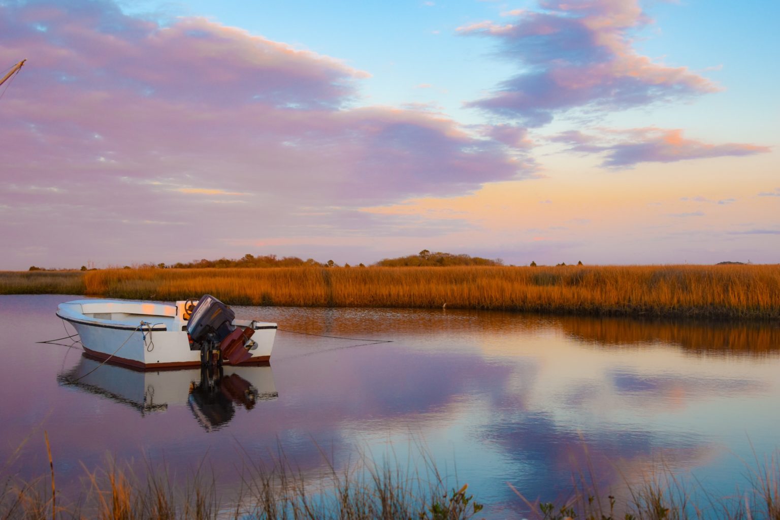 Best of the Bay Results 2022 | Chesapeake Bay Magazine