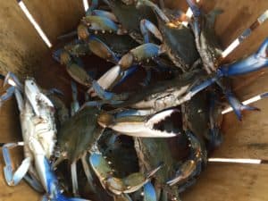 Solar-Powered Adaptive Boating Center Dedicated to Late CRAB Board ...