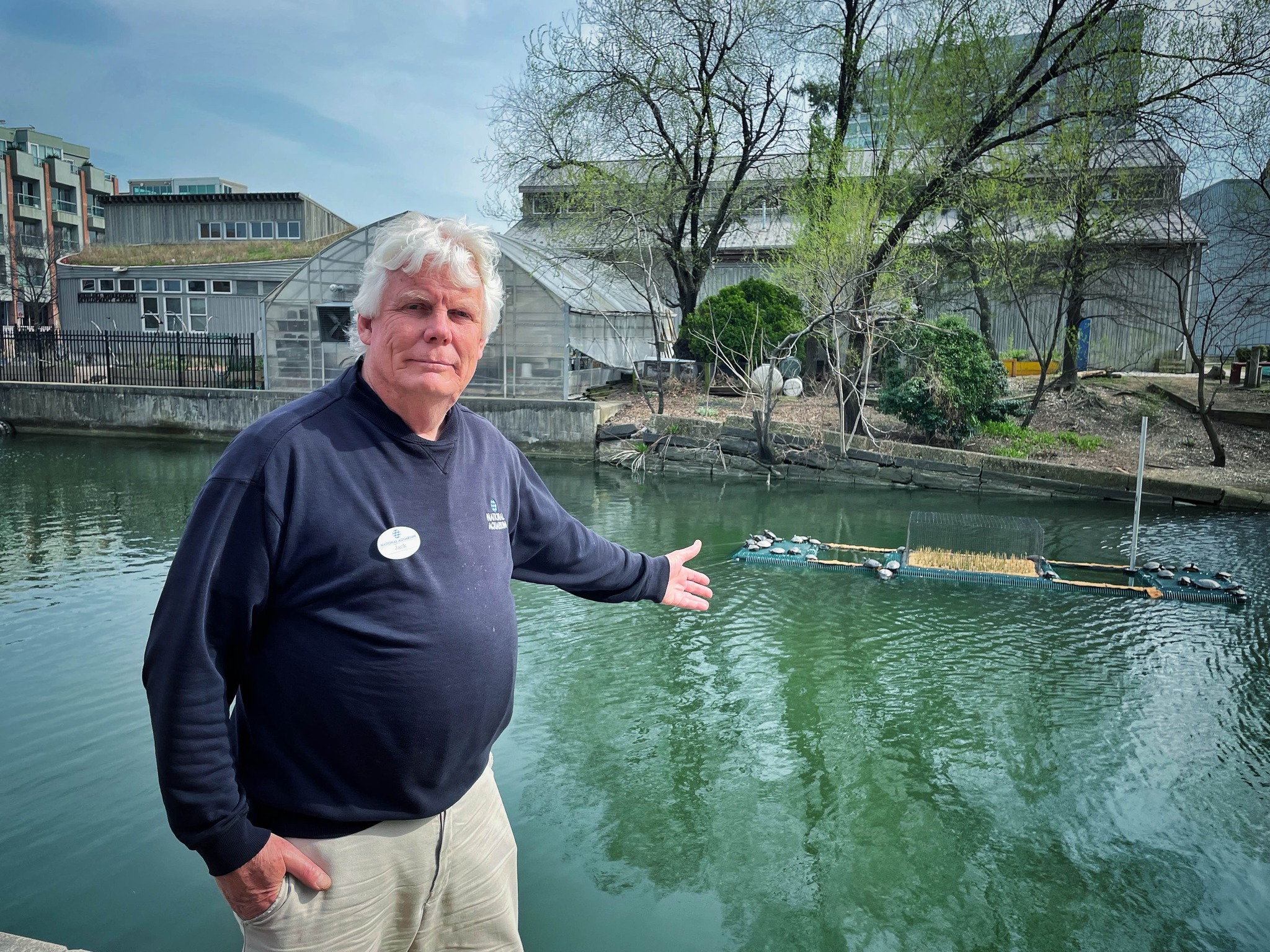 First "Turtle Island" Comes to Baltimore Harbor | Chesapeake Bay Magazine