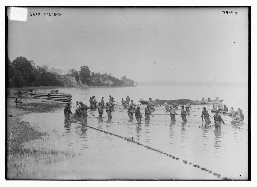 Dam Right | Chesapeake Bay Magazine