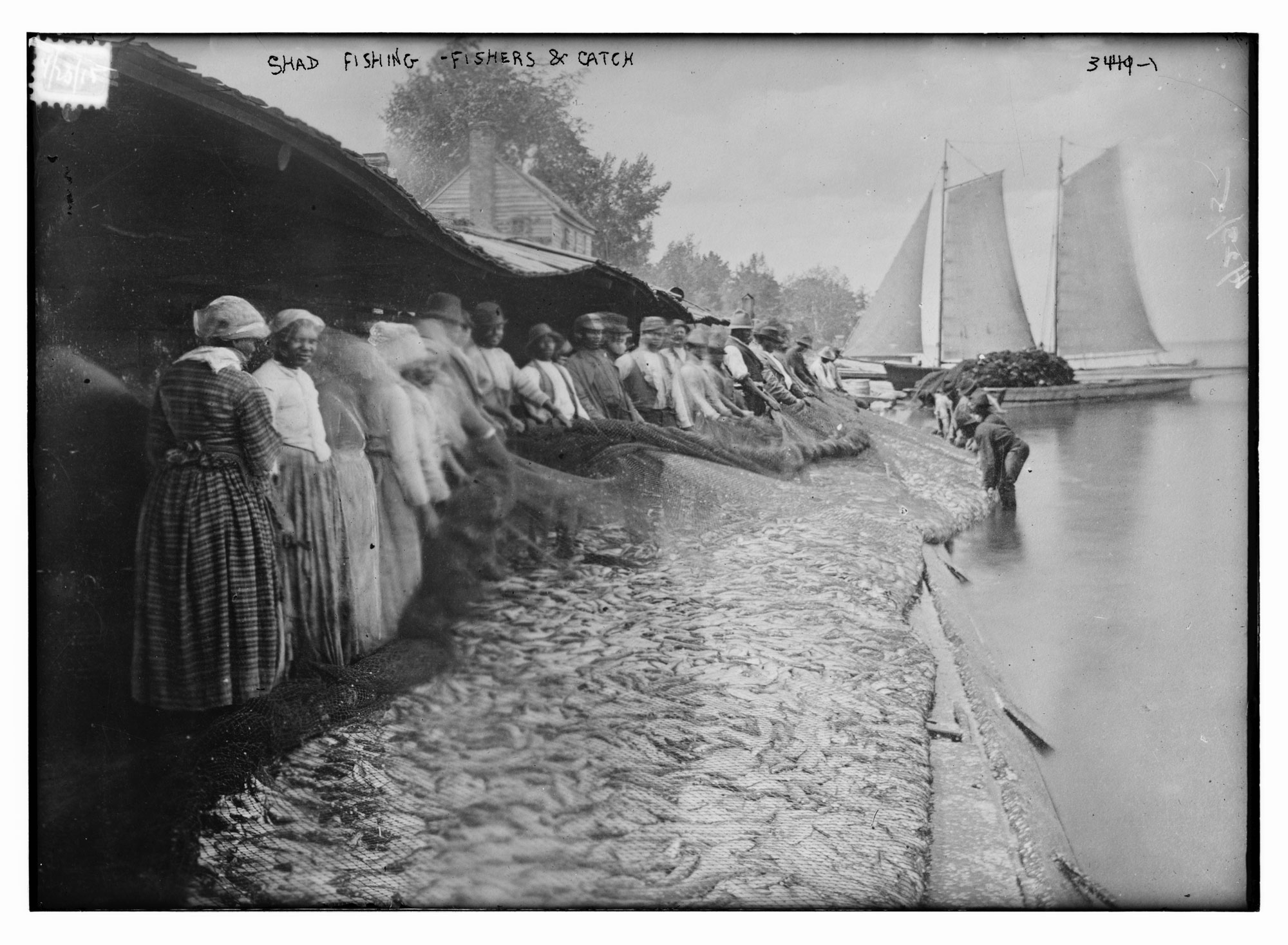 Dam Right | Chesapeake Bay Magazine