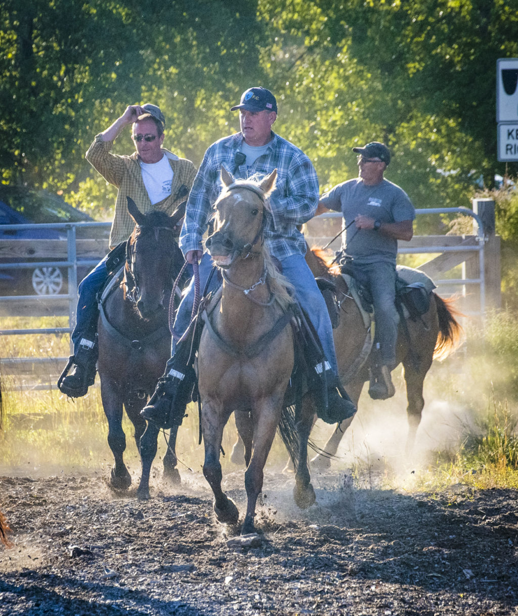 Saltwater Cowboys | Chesapeake Bay Magazine