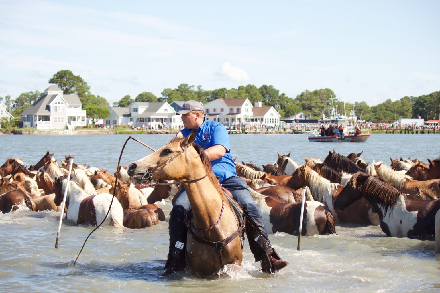 Saltwater Cowboys | Chesapeake Bay Magazine