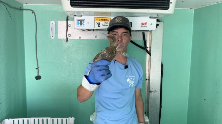 VIDEO: Bay Waterman Hits 1 Million Followers Teaching Crabbing on ...