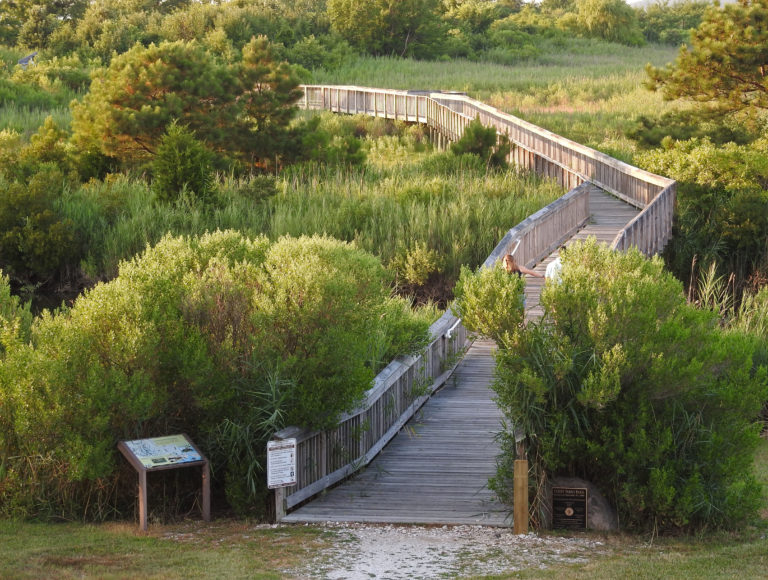 Kent Narrows, Maryland | Chesapeake Bay Magazine