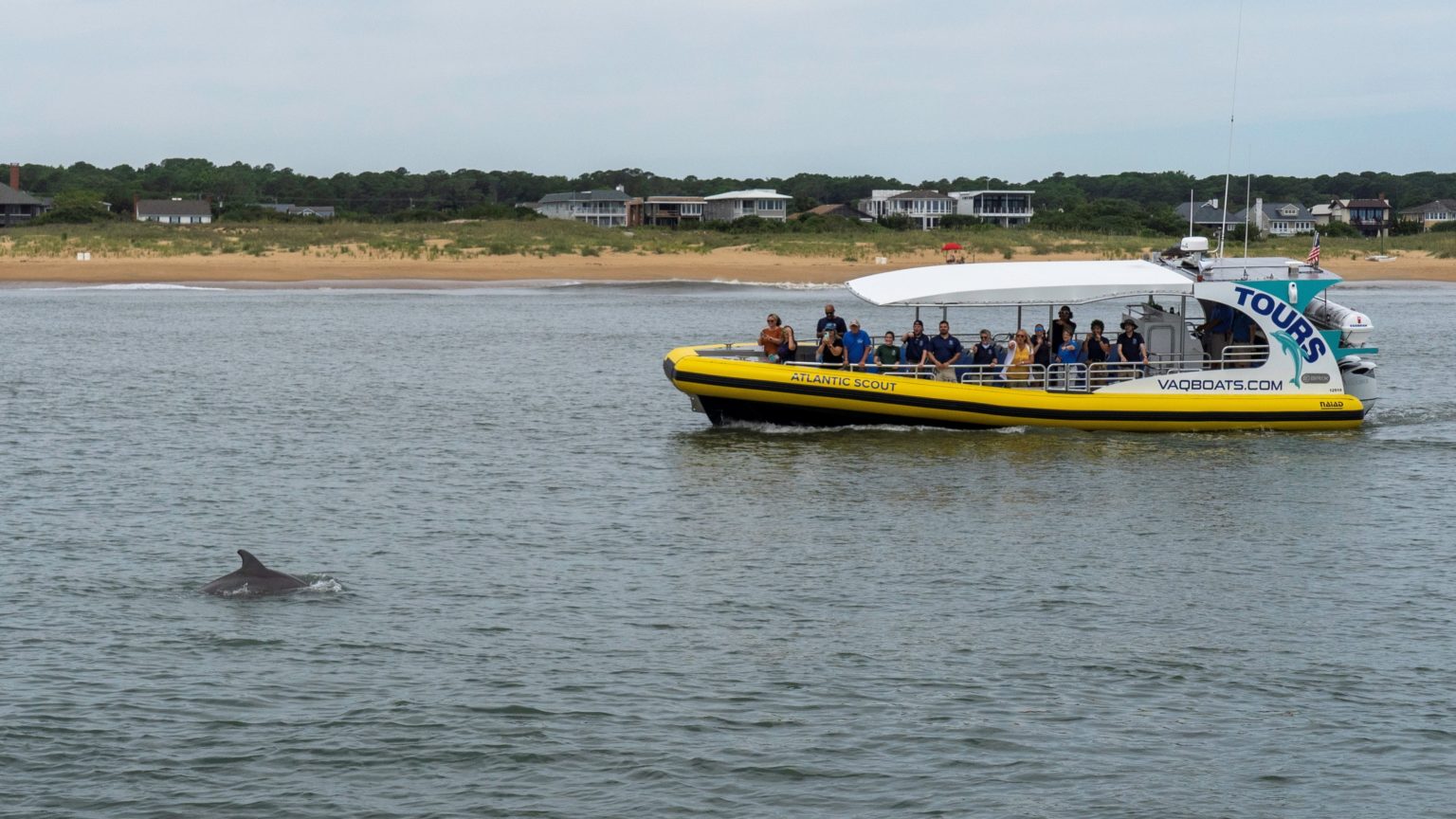 Get Up Close on Va. Aquarium's New Dolphin Tour Boat | Chesapeake Bay ...