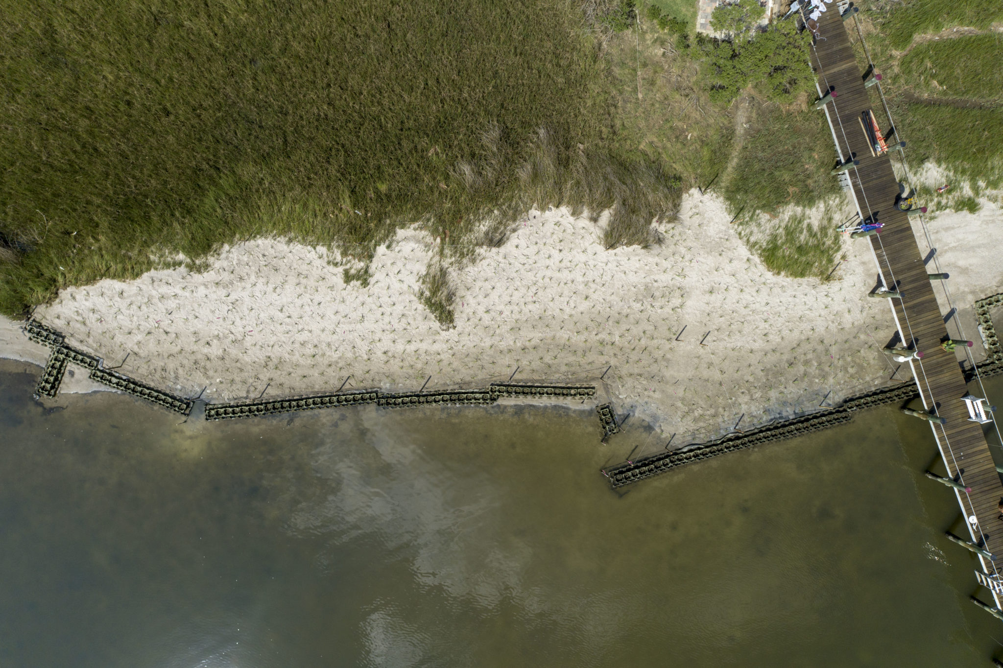 VIDEO: Lynnhaven Volunteers Plant River's Largest-Ever Living Shoreline ...