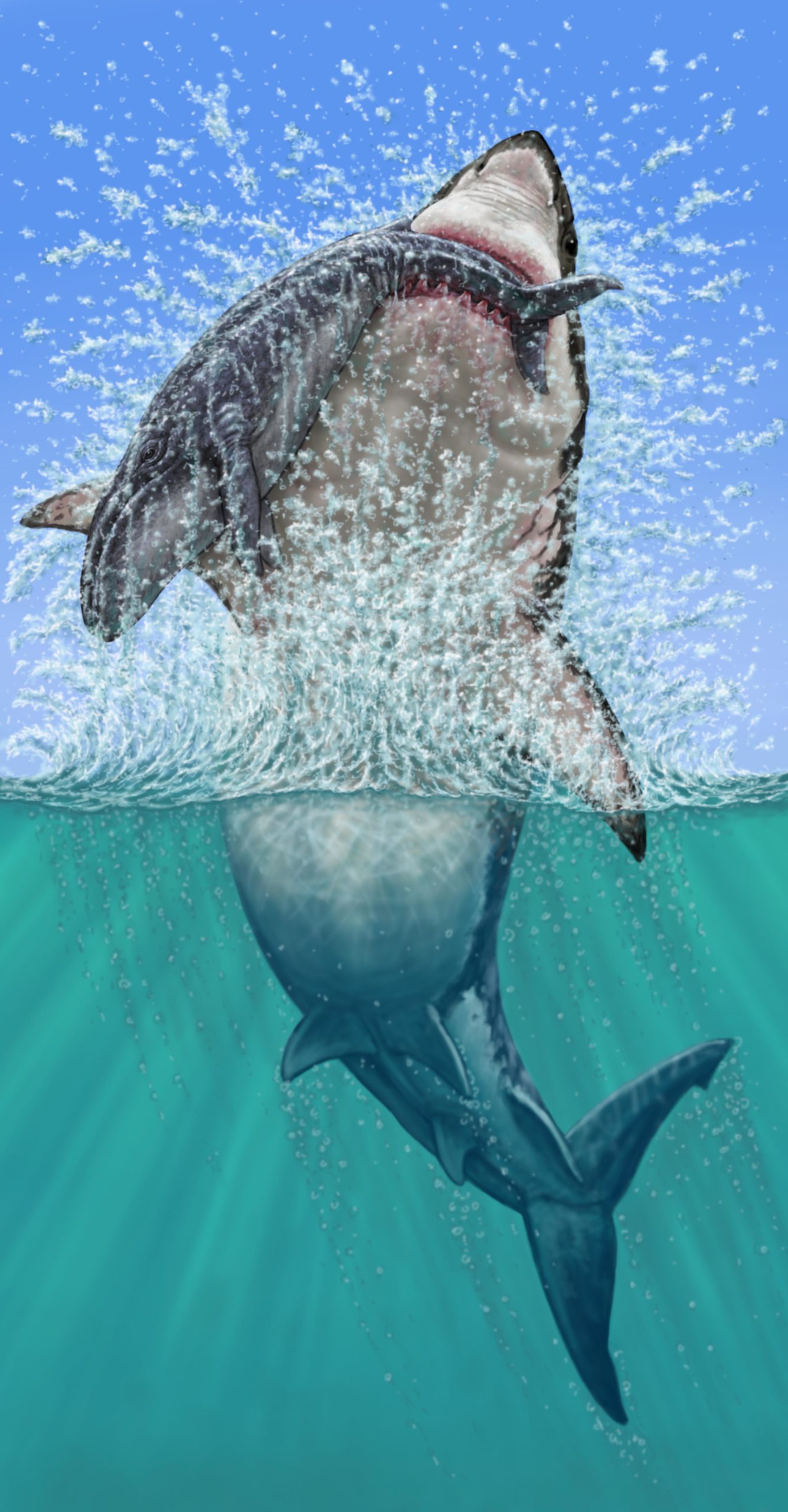 Calvert Cliffs Discovery Fuels Megalodon Hunting Theory | Chesapeake ...