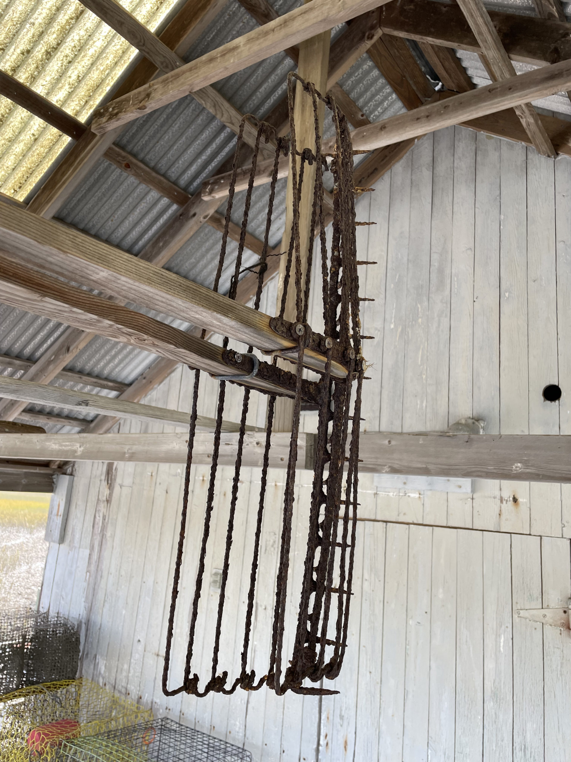 Tonging for Oysters | Chesapeake Bay Magazine