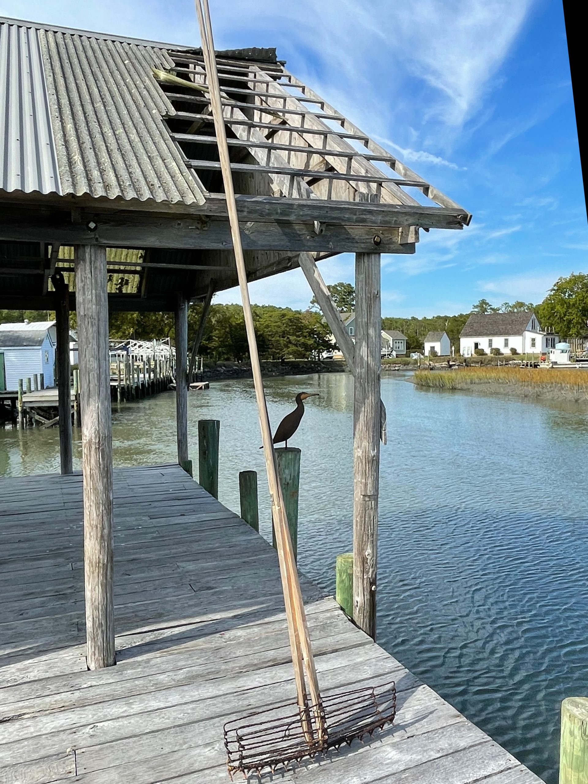 Tonging for Oysters | Chesapeake Bay Magazine