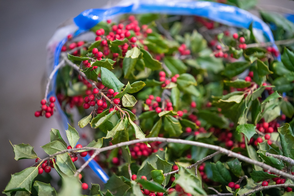 PHOTOS: Volunteer Pilots Continue "Holly Run" Tradition to Support ...