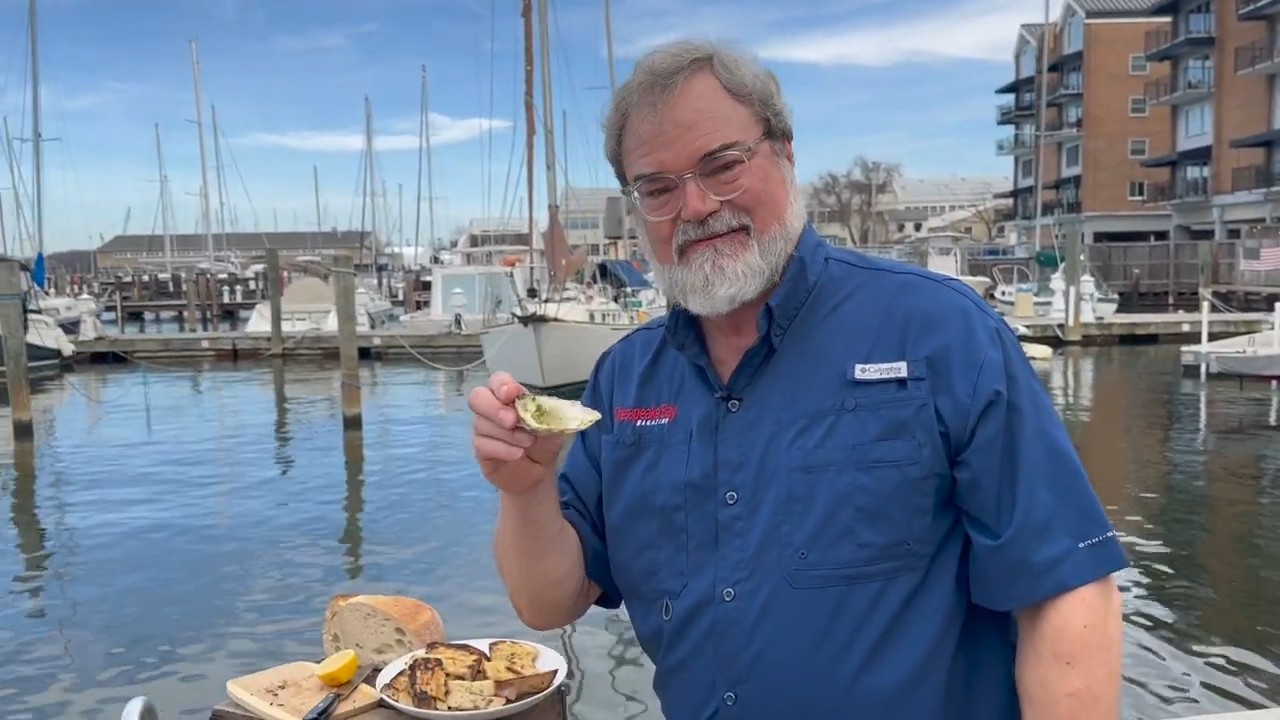 Chesapeake Chef: Grilled Oysters with Gremolata | Chesapeake Bay Magazine