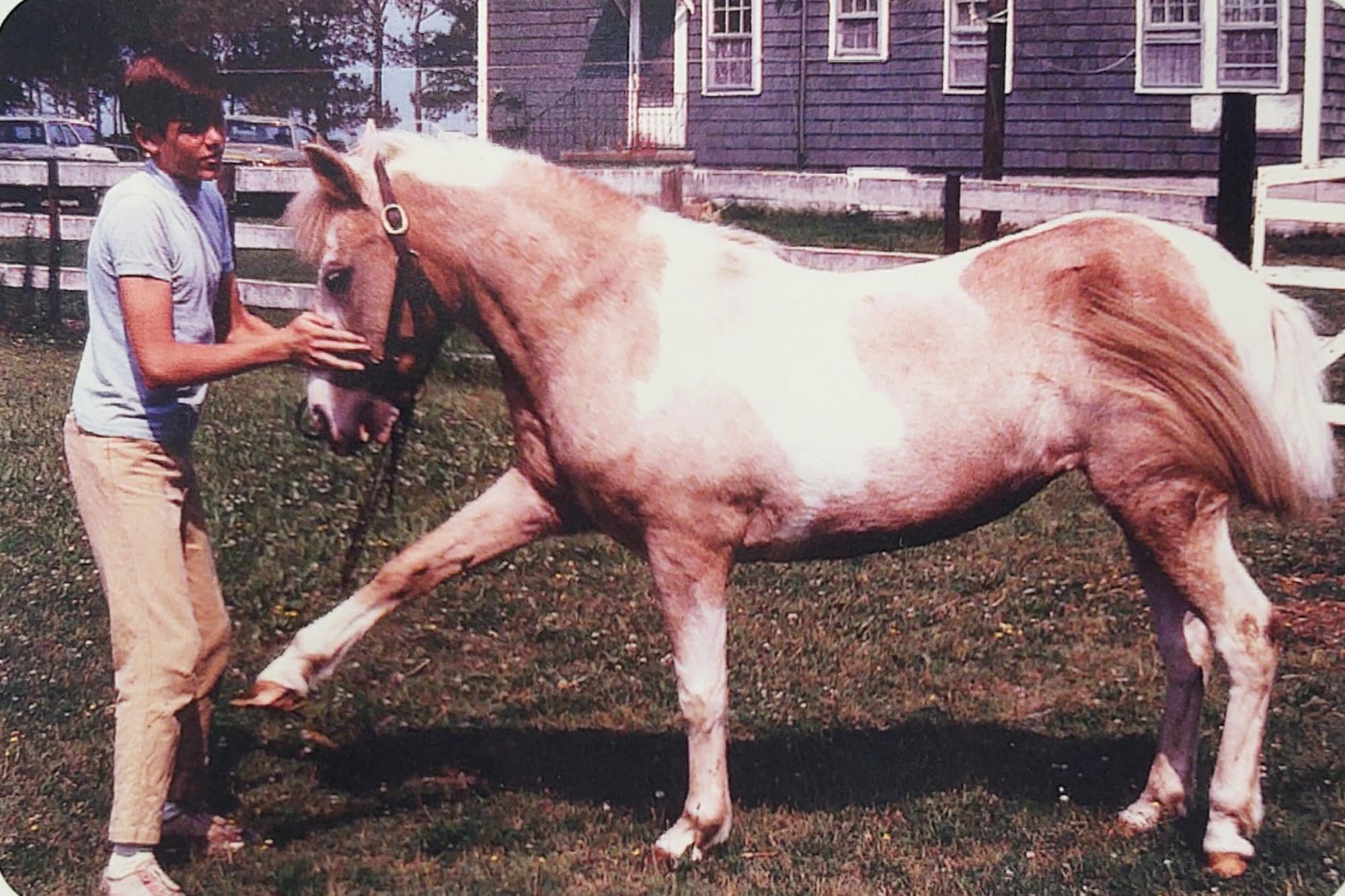Misty of Chincoteague Ranch Put for Sale; Museum Rallies to Preserve it ...