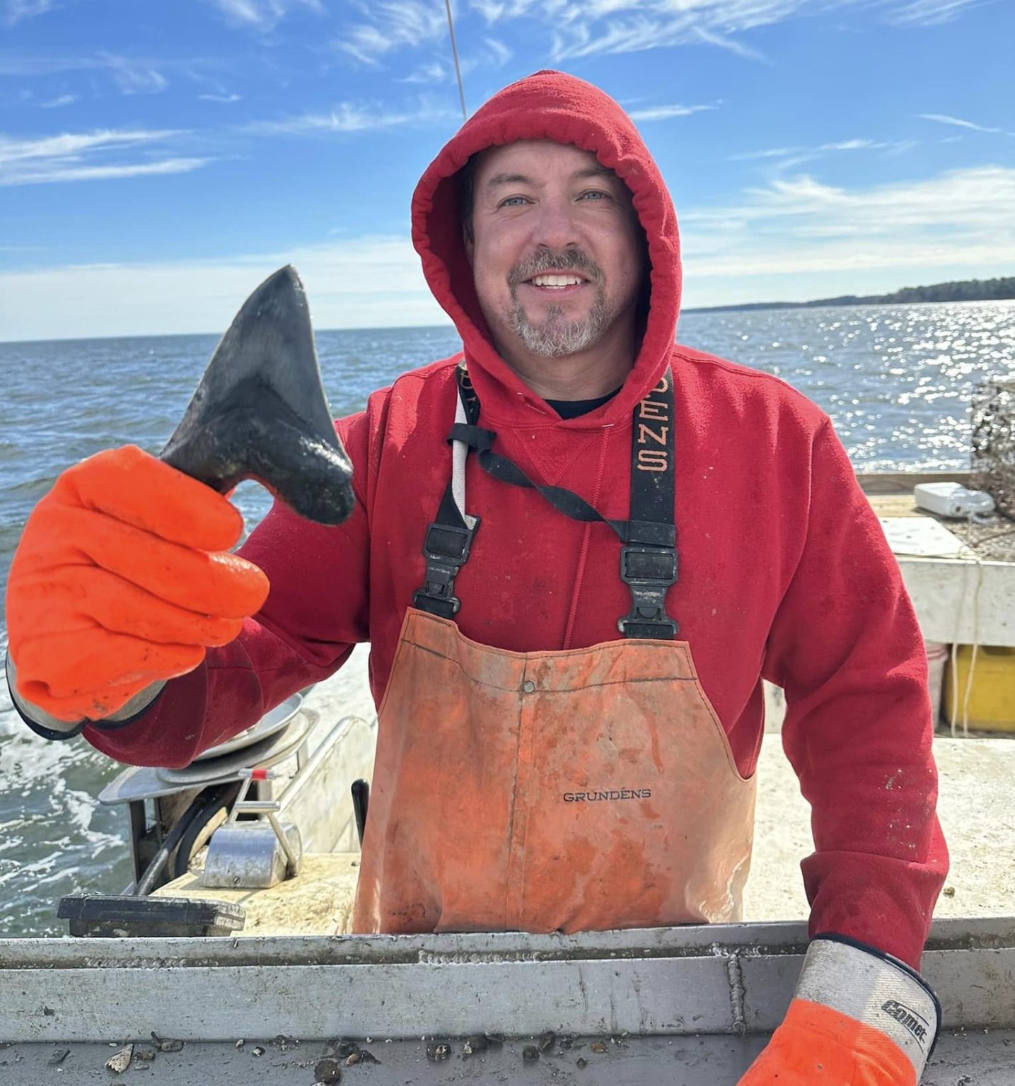Waterman Dredges Up Massive Meg Tooth with Oysters | Chesapeake Bay ...