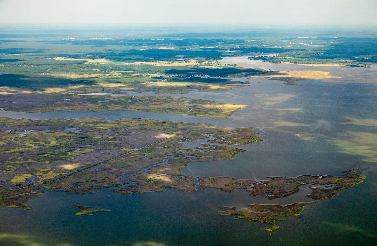 $9.1 Million in Oyster Funding Pushes Eastern Shore Restoration Ahead ...