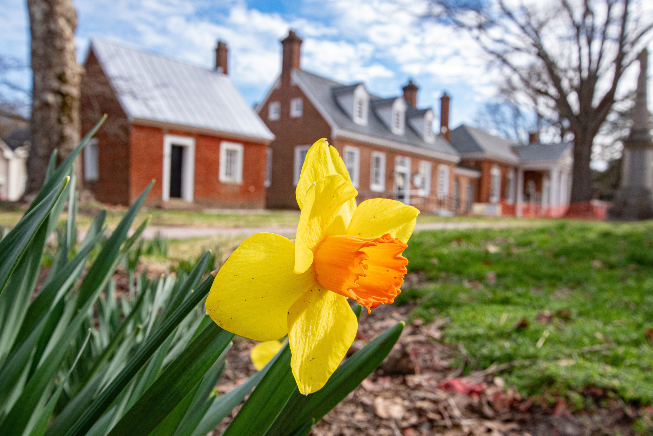 Three Reasons to Visit Gloucester This Spring | Chesapeake Bay Magazine