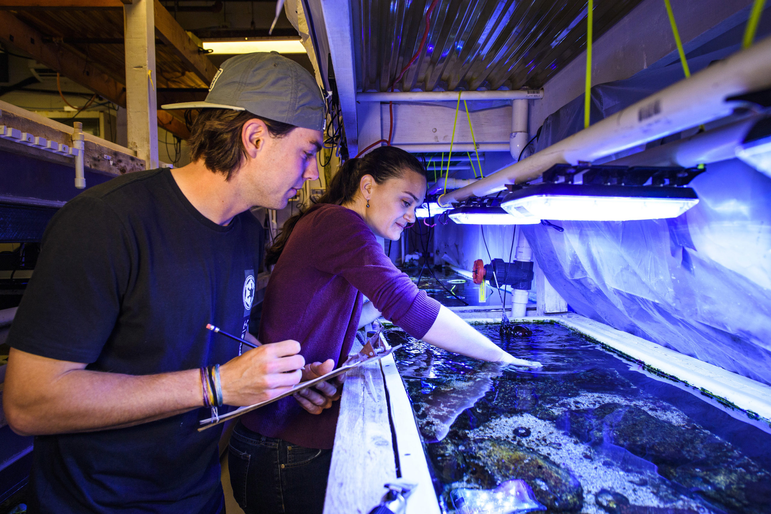 St. Mary's College Gets $1 Million in Federal Funding to Revamp Aquatic ...