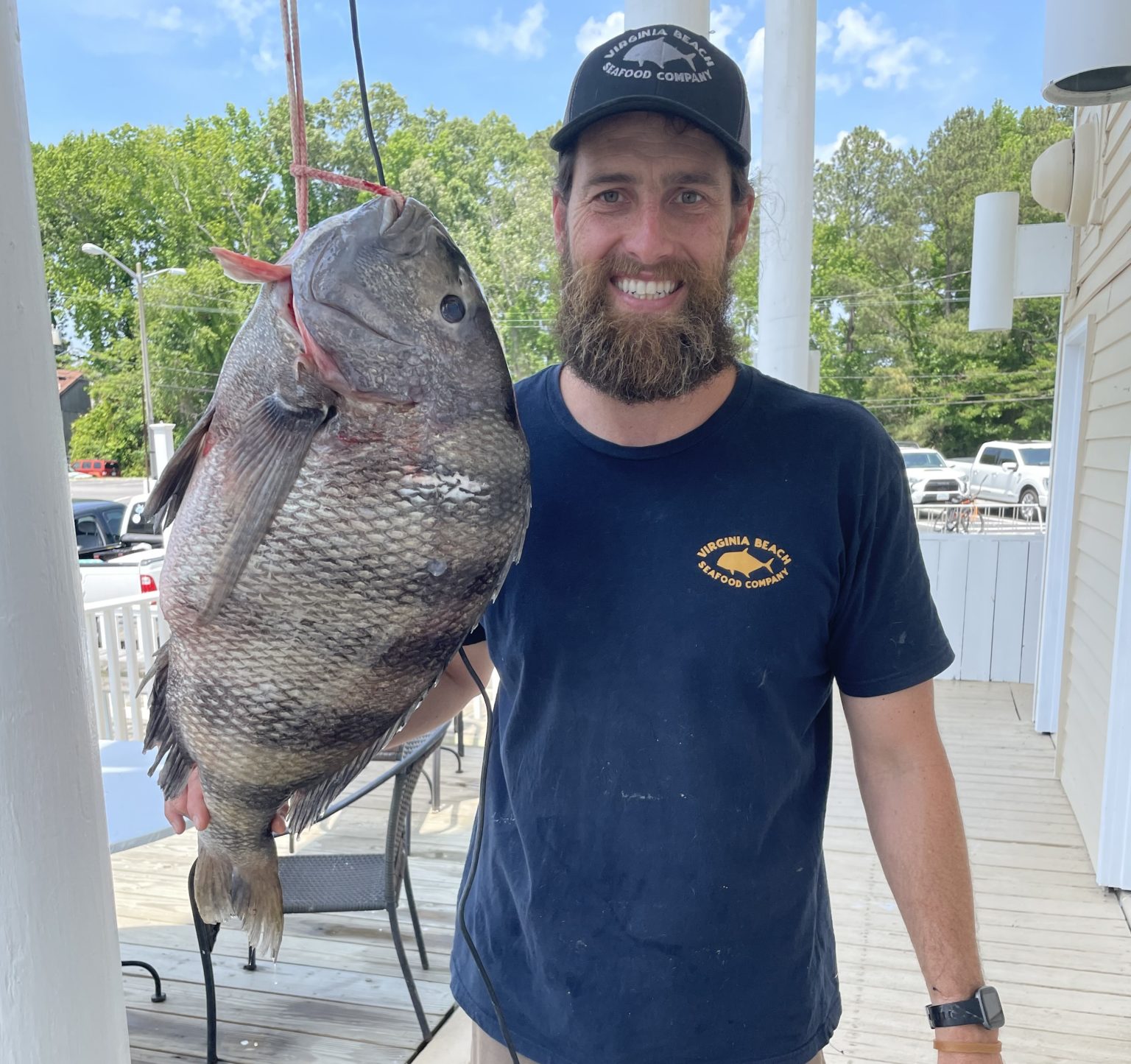 VA Spearfisherman Sets Sheepshead World Record | Chesapeake Bay Magazine