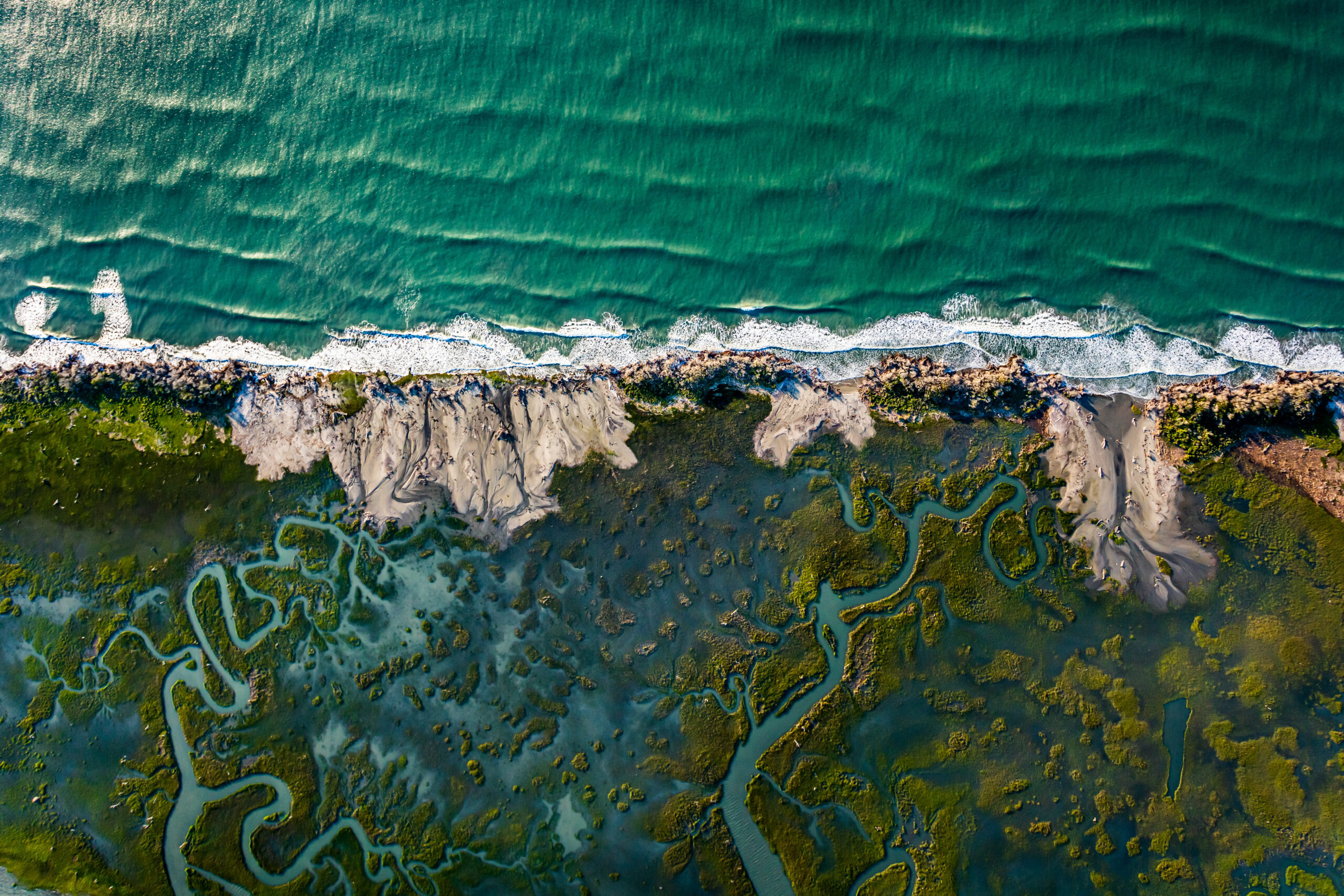 The Virginia Coast Reserve’s Treasured Islands | Chesapeake Bay Magazine