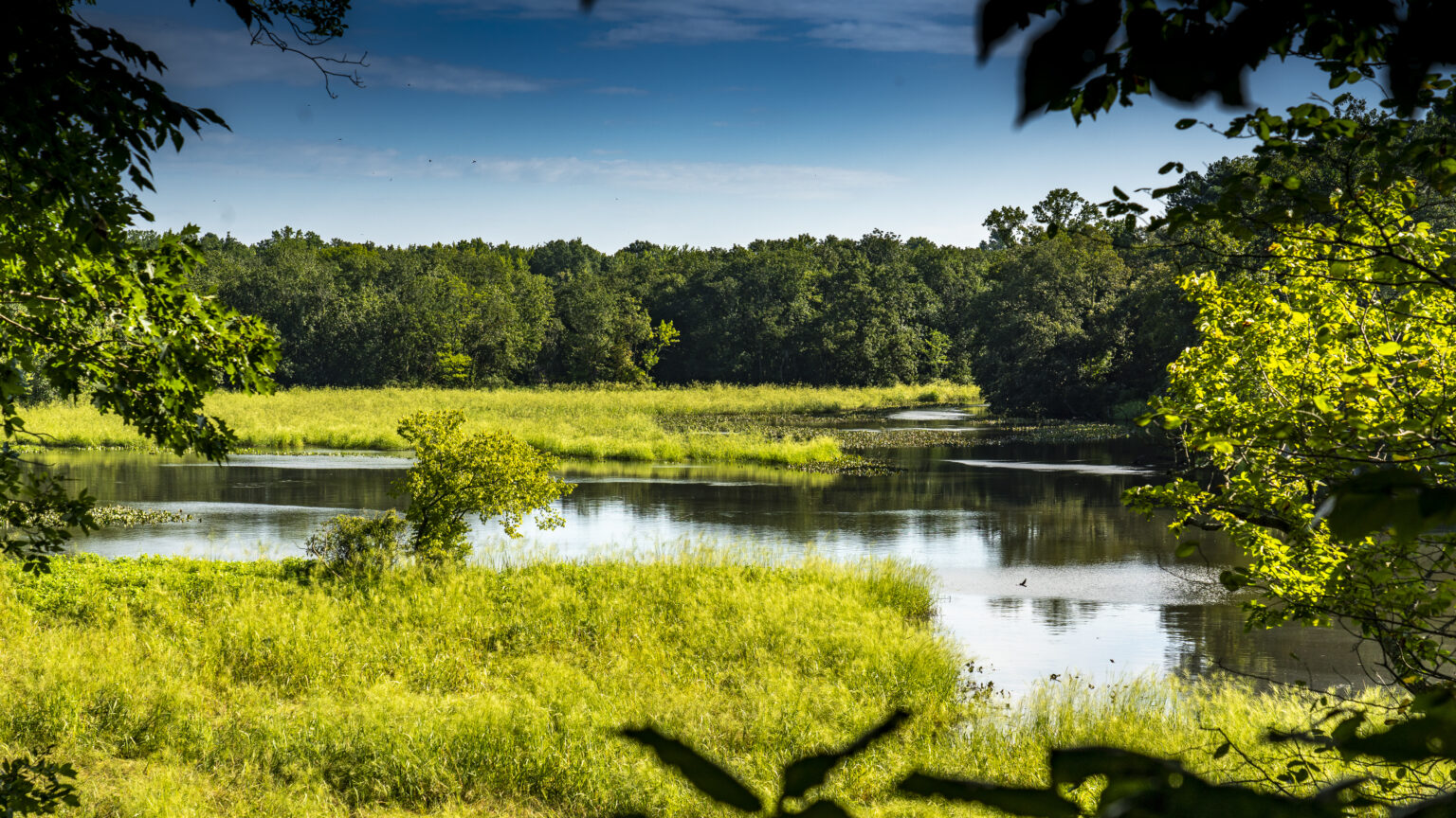 In Search of Frederick Douglass | Chesapeake Bay Magazine