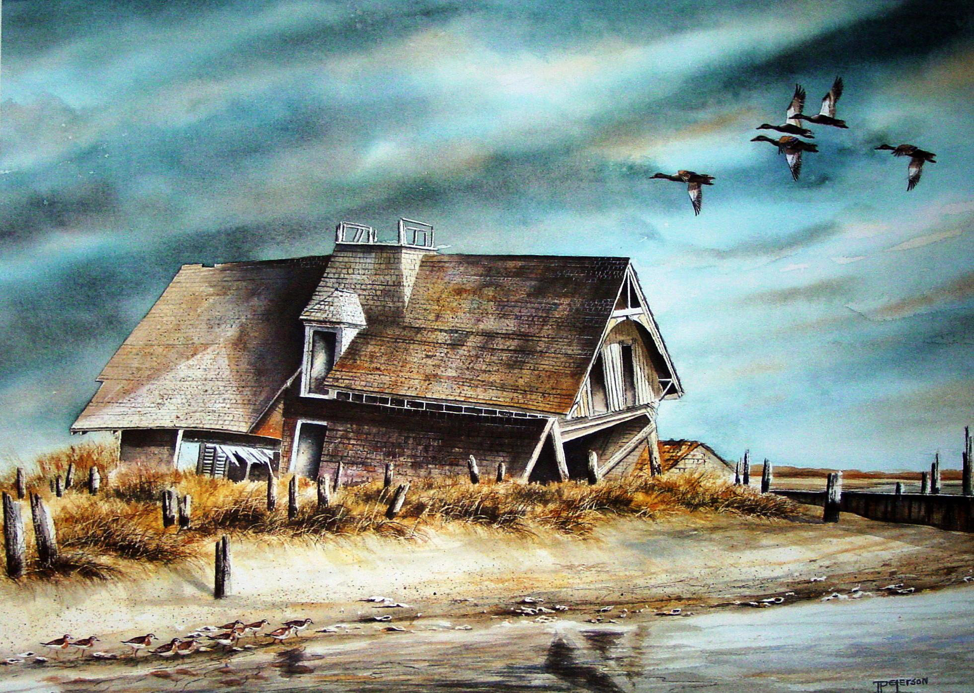 The Virginia Coast Reserve’s Treasured Islands | Chesapeake Bay Magazine