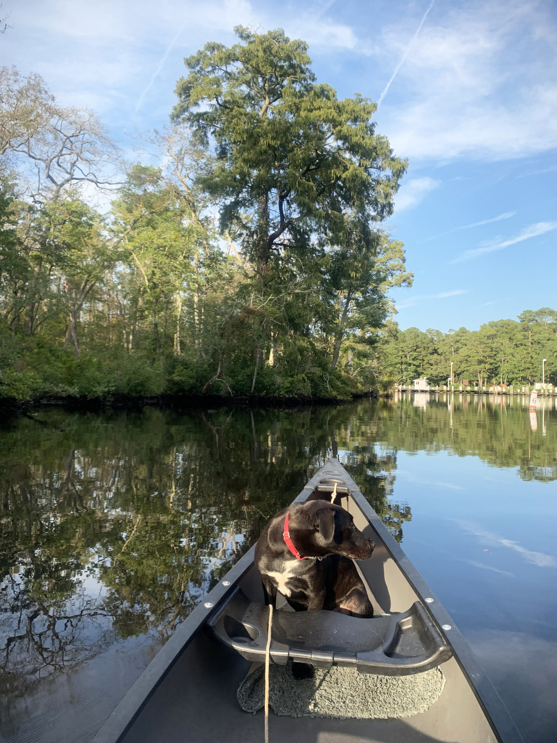 How I'm Going to Spend My Summer Vacation | Chesapeake Bay Magazine