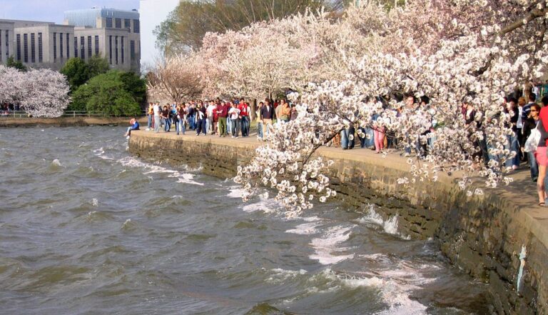 DC Tidal Basin Wall to be Raised 5 Feet | Chesapeake Bay Magazine