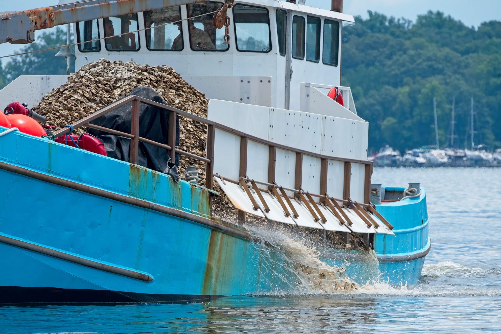 Slurp! Bay Restaurants Celebrate National Oyster Week | Chesapeake Bay ...