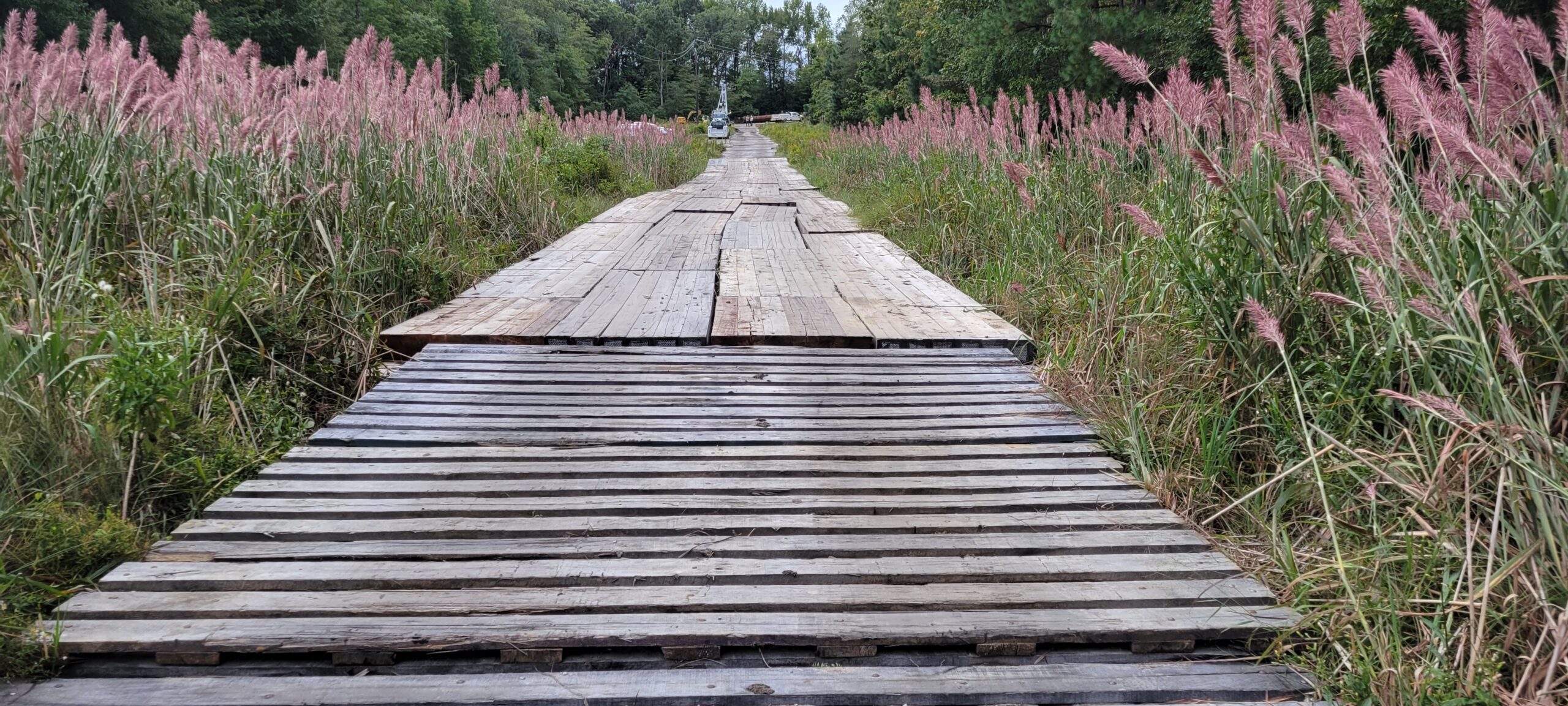 Game-Changing Eucalyptus Mats Protect Wetlands during VA Construction ...