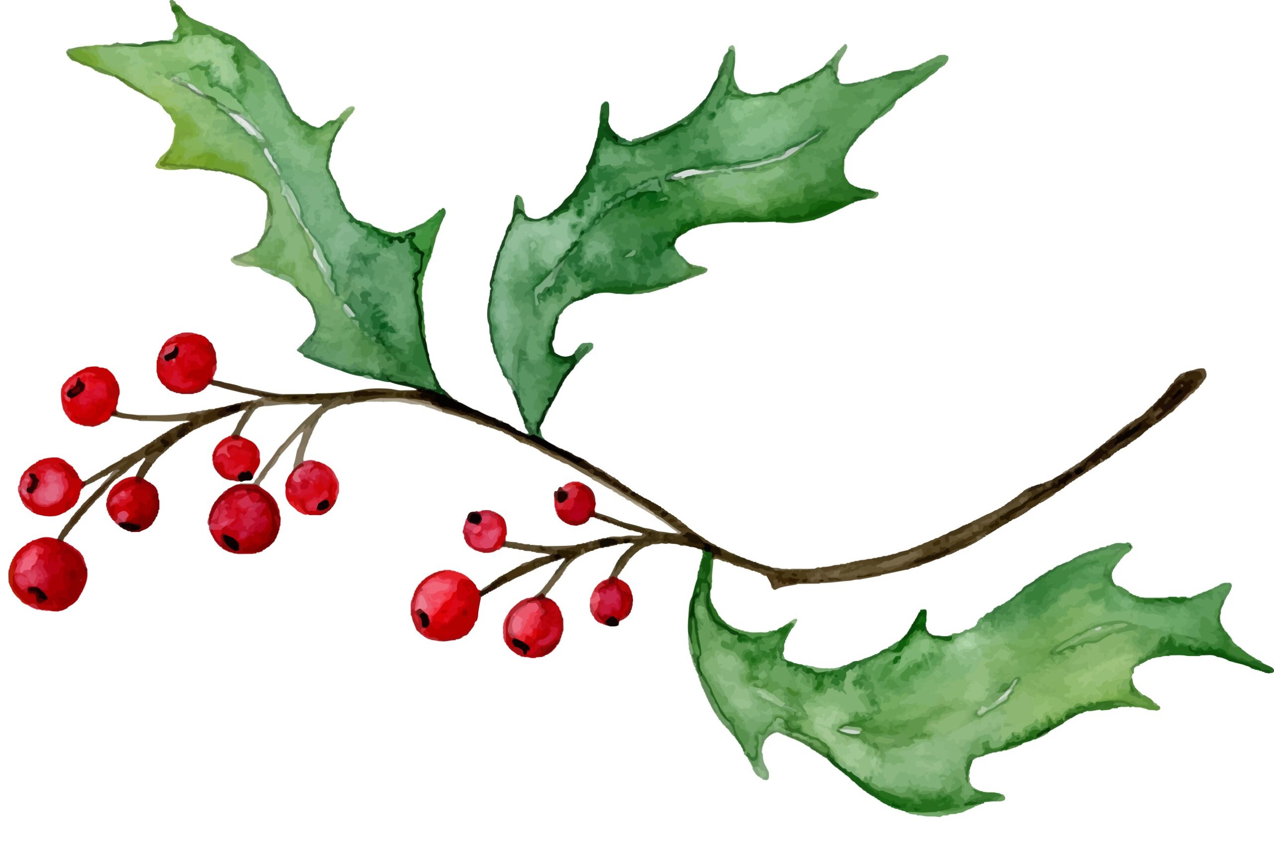 Holiday Happenings Around the Bay | Chesapeake Bay Magazine