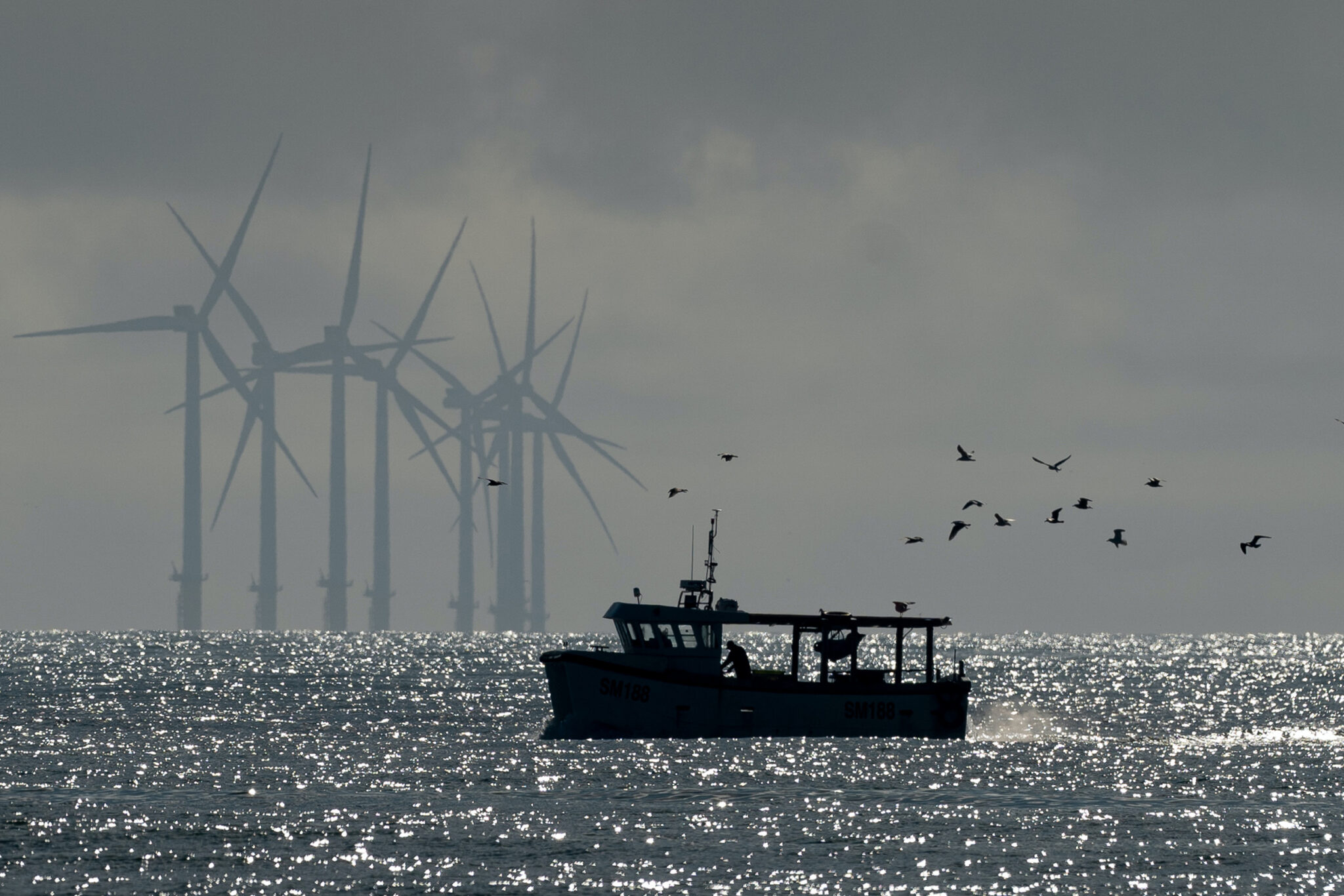 New Offshore Wind Leases Proposed; Researchers to Study Impact on Fish ...
