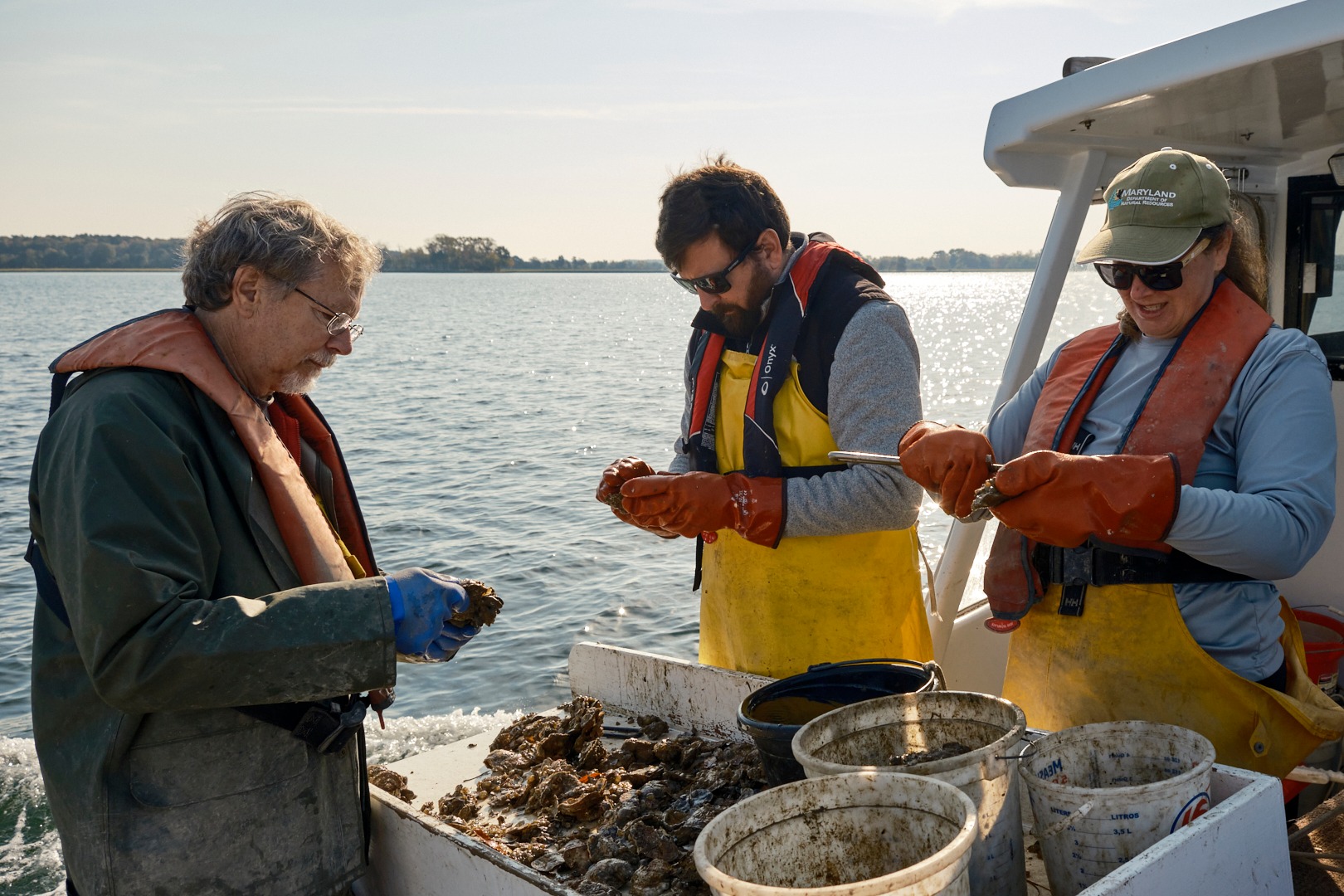 MD Oyster Survey Finds "Once in a Generation" Widespread Spat ...