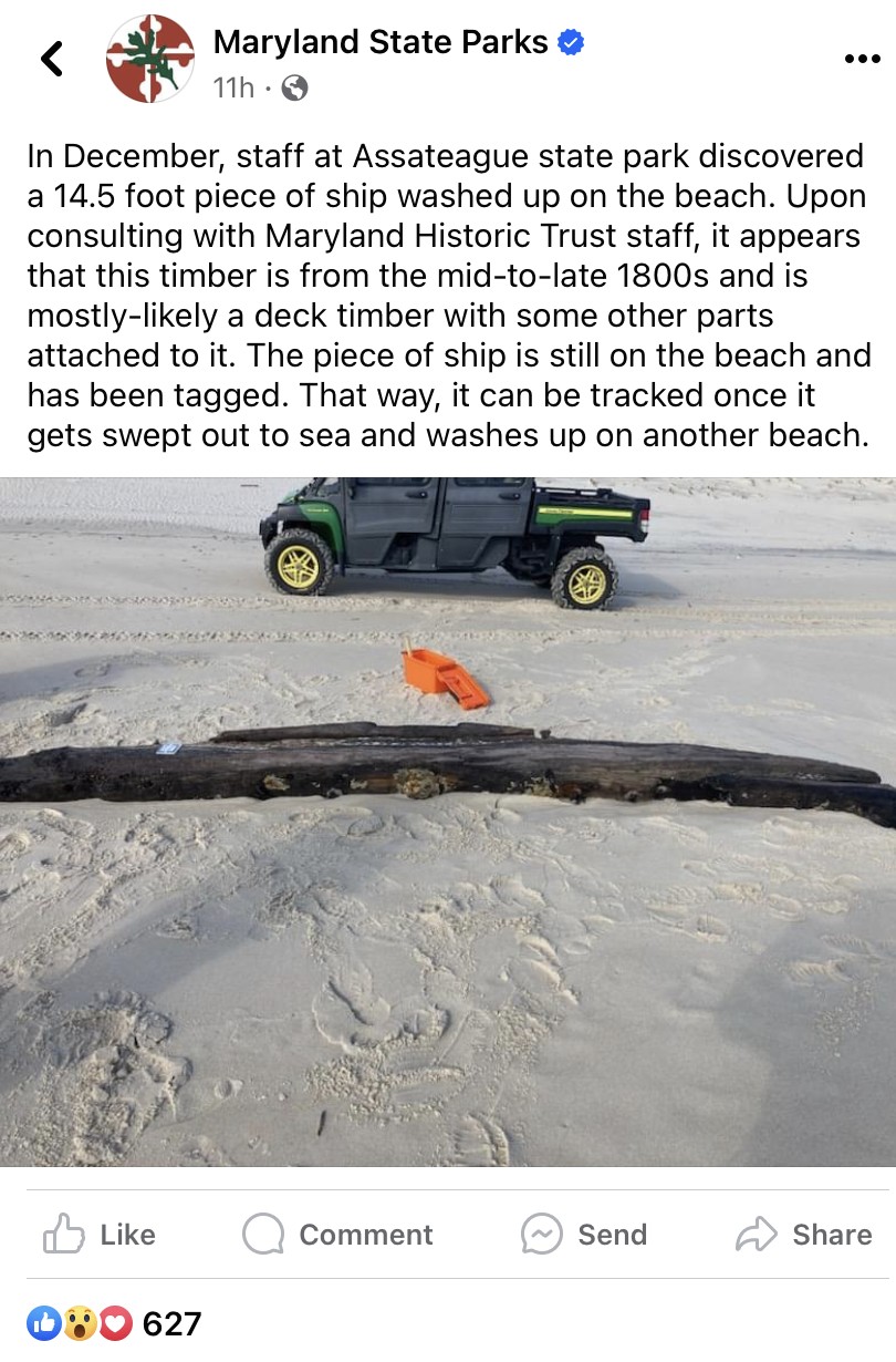 Why Did MD Let 1800s Shipwreck Timber Float Back Out to Sea ...