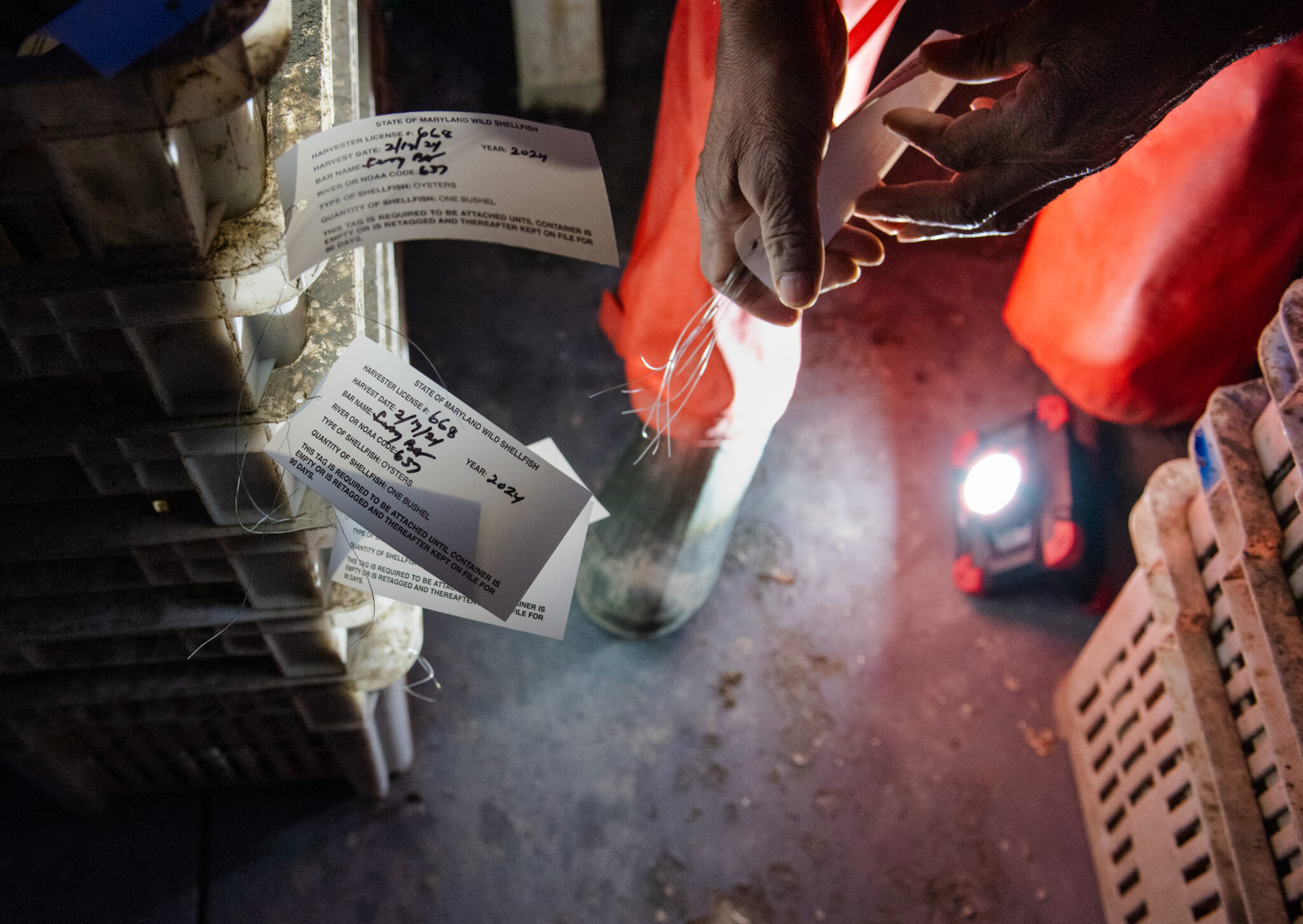 Faces of the Bay: Hand Tongers Buck Lynch & Bobby Washington ...