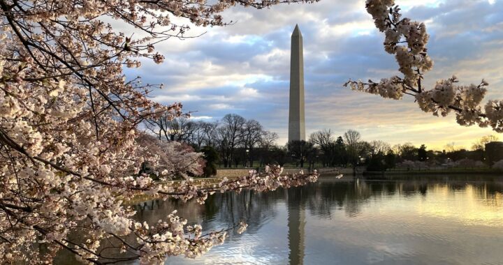 Bay News | Chesapeake Bay Magazine