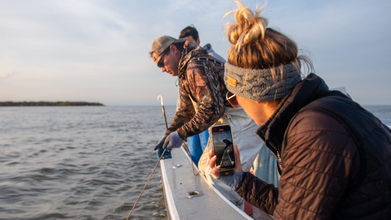 Faces of the Bay: Solving the Blue Catfish Problem | Chesapeake Bay ...