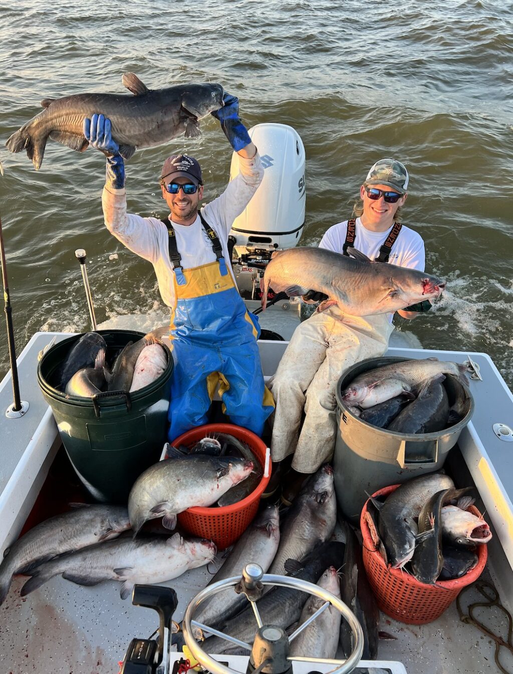 Faces of the Bay: Solving the Blue Catfish Problem | Chesapeake Bay ...