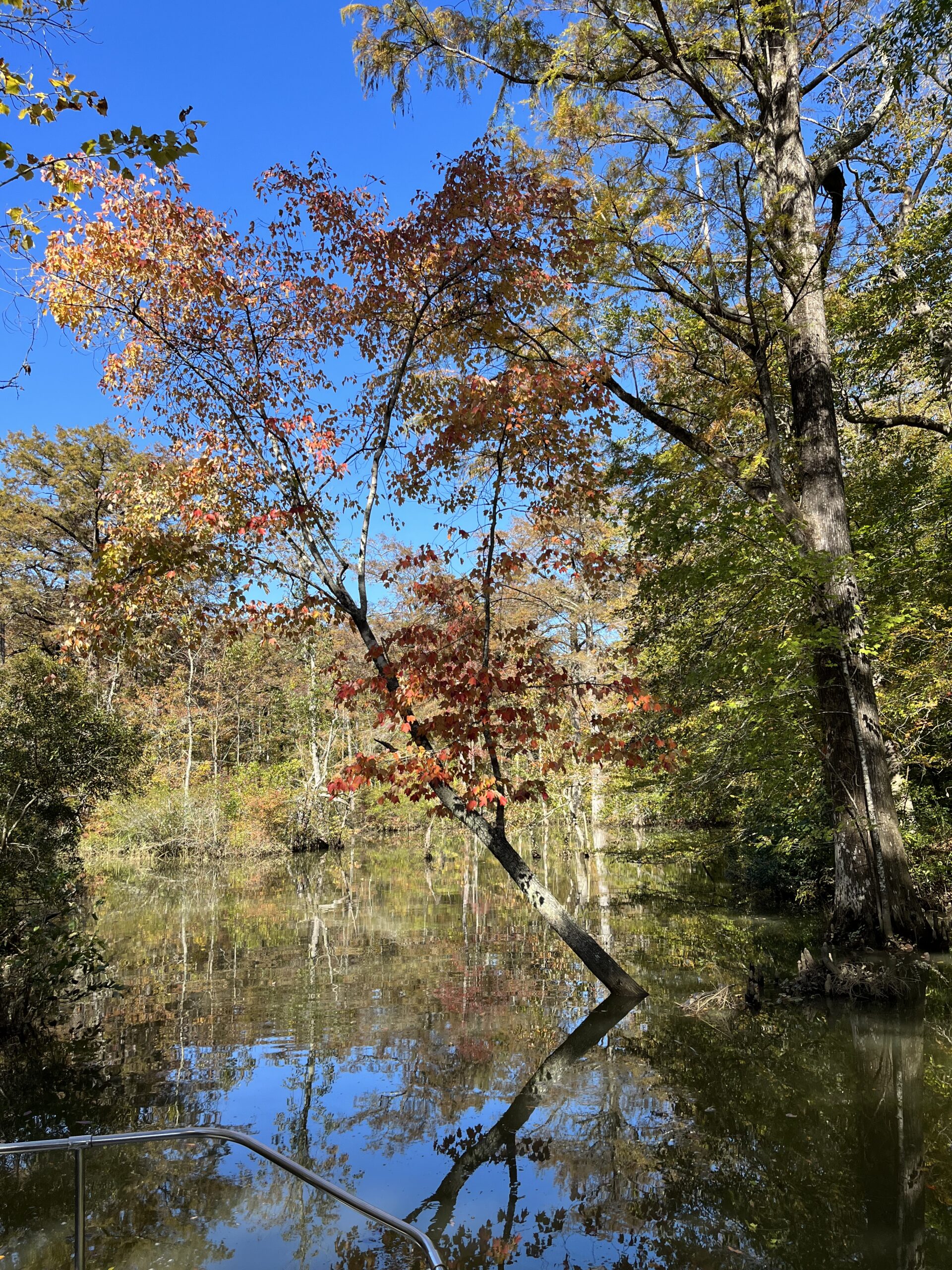 Bay Places: A Virginia Jewel Hides in Plain Sight on the James River ...