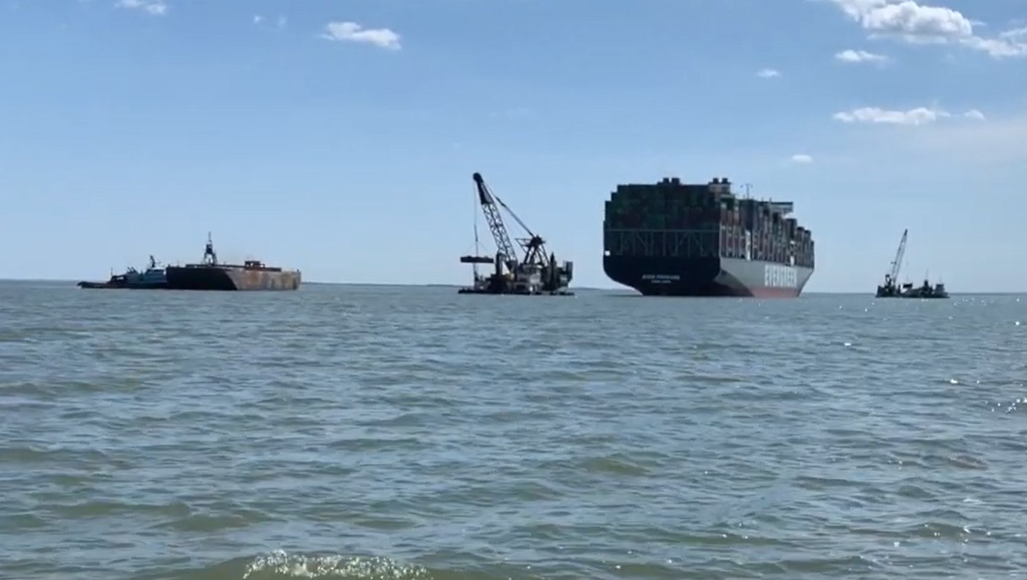 First 8 Million Oysters Planted, Funded by Ever Forward Damage Funds ...