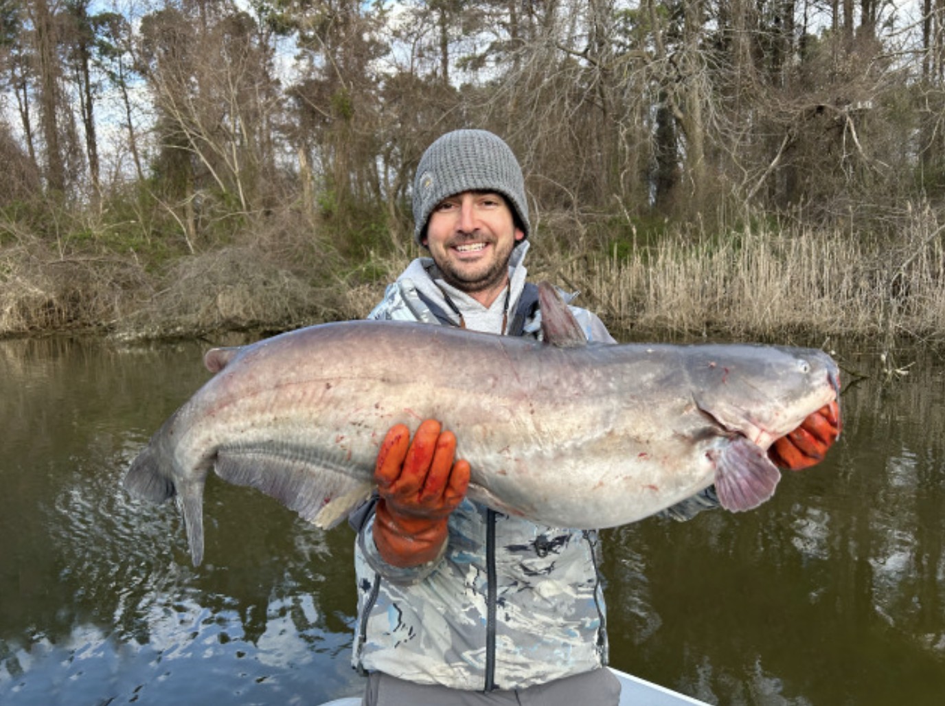 The Problem with Having the Blues: the Unwelcome Blue Catfish | Chesapeake Bay Magazine
