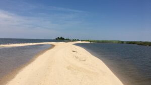 How to Explore the Disappearing Shark Tooth Island | Chesapeake Bay ...