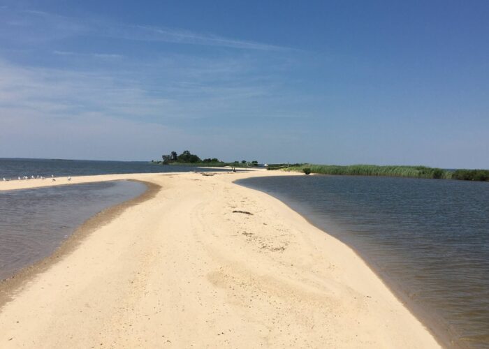 Chesapeake Bay Magazine | The Best of the Bay