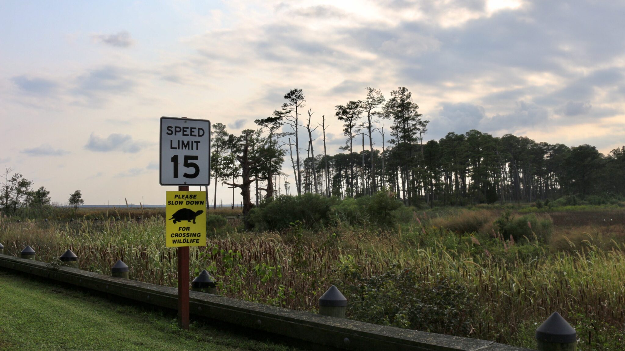 Island Hopping the Eastern Shore's Barrier Isles | Chesapeake Bay Magazine
