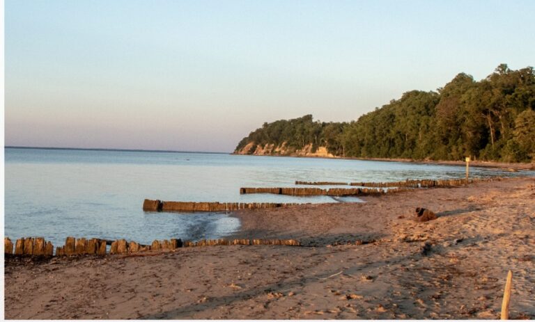The Story Behind Shark Tooth Island: Hollis Marsh, Currioman Bay, and ...